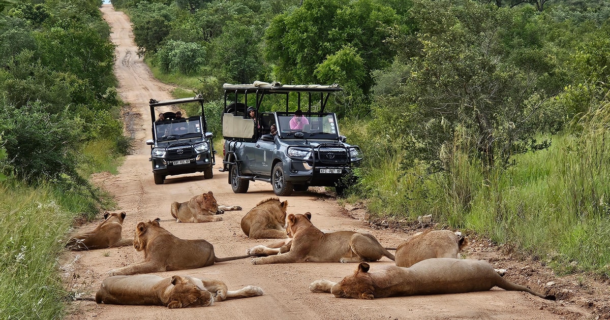 Kruger National Park: 3 day tour from Johannesburg/Pretoria | GetYourGuide