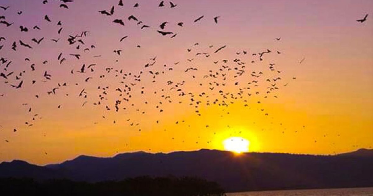 Labuan Bajo: Excursie la apus de soare la insula Komodo cu Fastboat ...