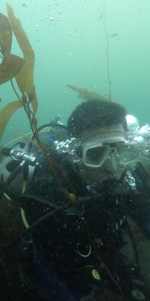 Lima: PADI Open Water Diver- Diving Course | GetYourGuide