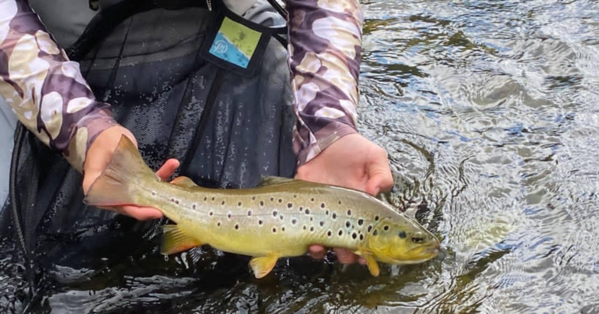 Bulgaria: Guided Fly Fishing Day Trip | GetYourGuide