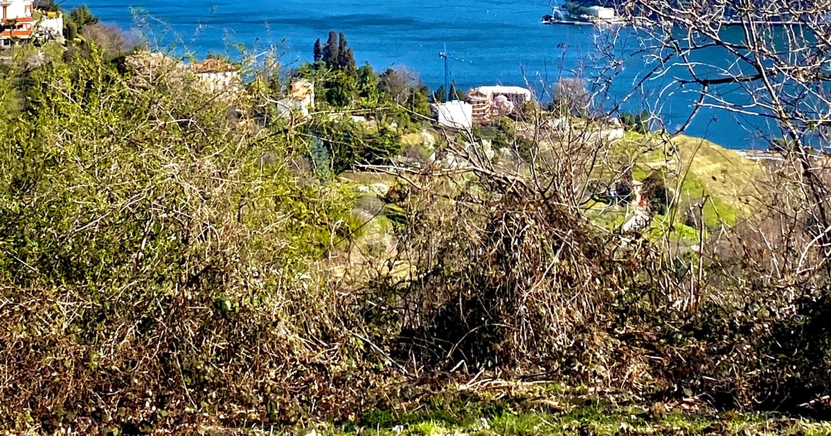 FROM COMO - E-BIKE TOUR - LA DOLCE VITA - MOLTRASIO AND LAGLIO ...