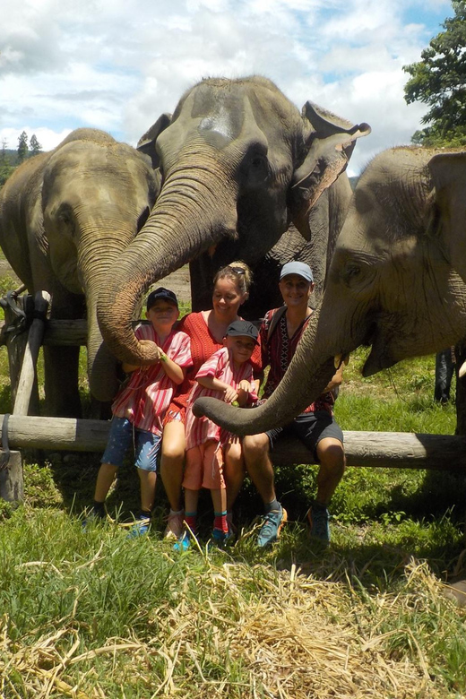 Chiang Mai : Sanctuaire d'éléphants Les gardiens locaux de la tribu des ...