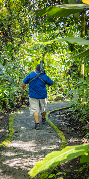 La Fortuna: Sloth Tour in Arenal Volcano Park & Local Snack | GetYourGuide