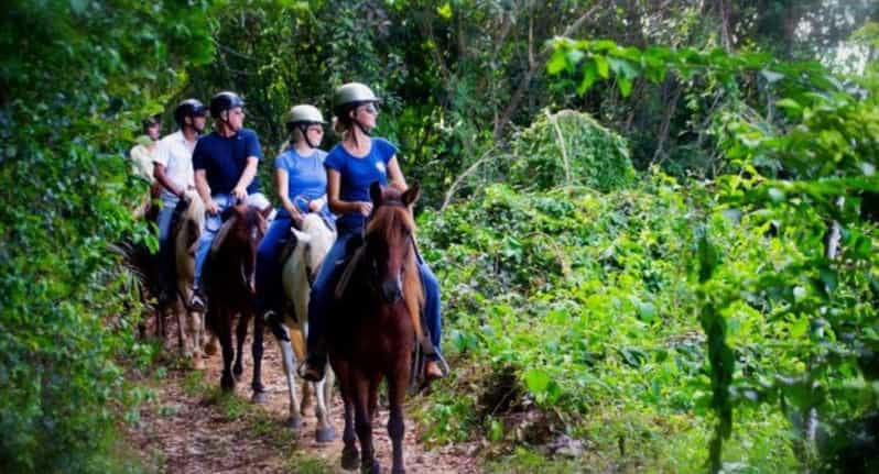 Scenic Horseback Riding Experience | GetYourGuide