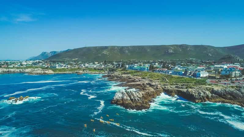 From Cape Town: Hermanus Whale Watching Full Day Tour | GetYourGuide