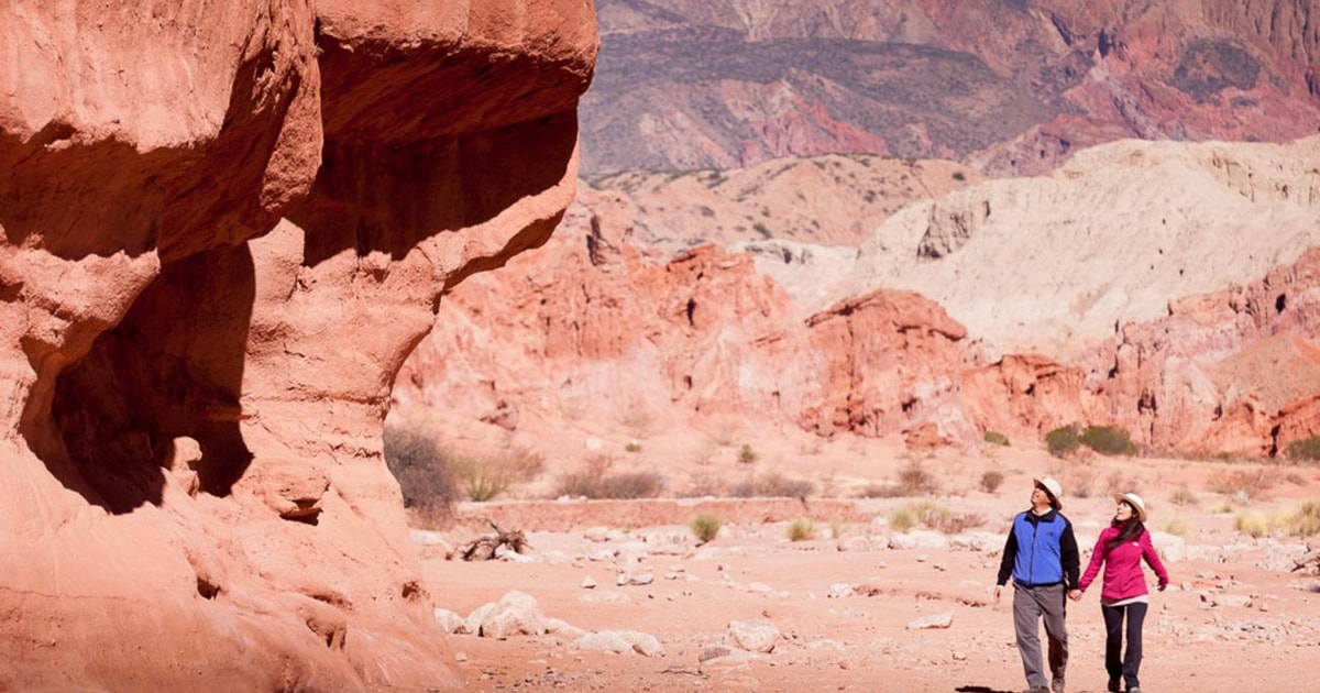 Desde Salta: excursión de día completo a Cafayate | GetYourGuide