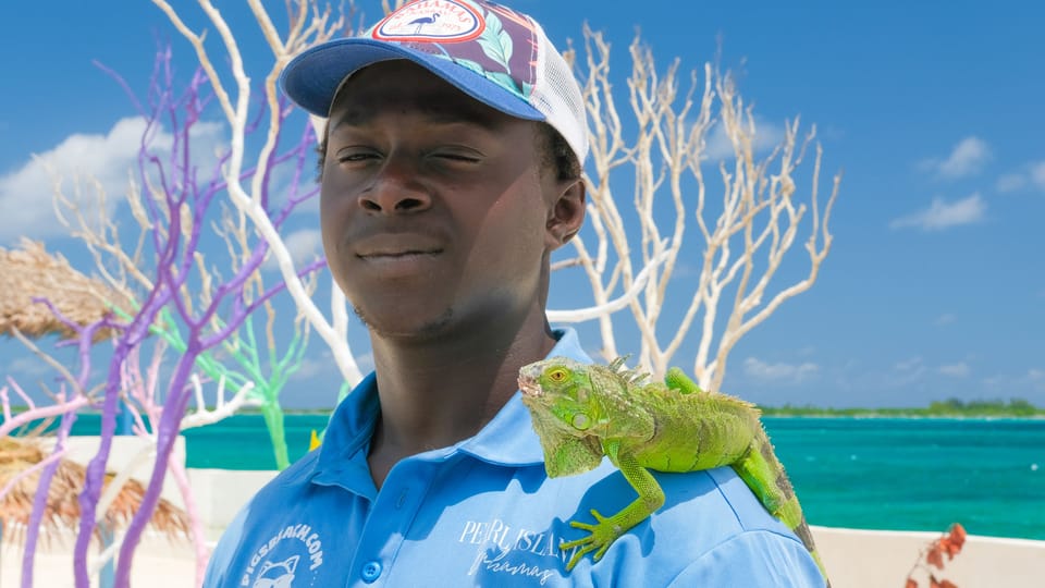 Nassau: Sun Cay and Swimming Pigs Boat Trip with Lunch | GetYourGuide