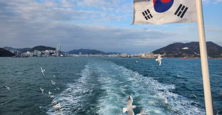 Sea/Sky cruise tour and street foods in BIFF square & market | GetYourGuide