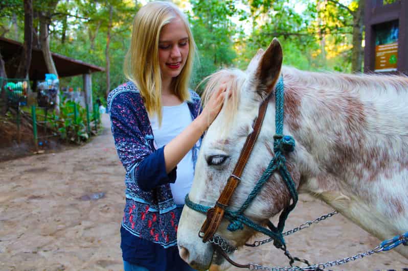 Valle de Bravo: Waterfall Riding Tour | GetYourGuide