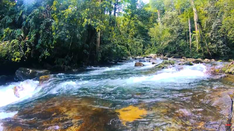 Sri lanka jungle trek/hike, Sinharaja 5 waterfalls hike | GetYourGuide
