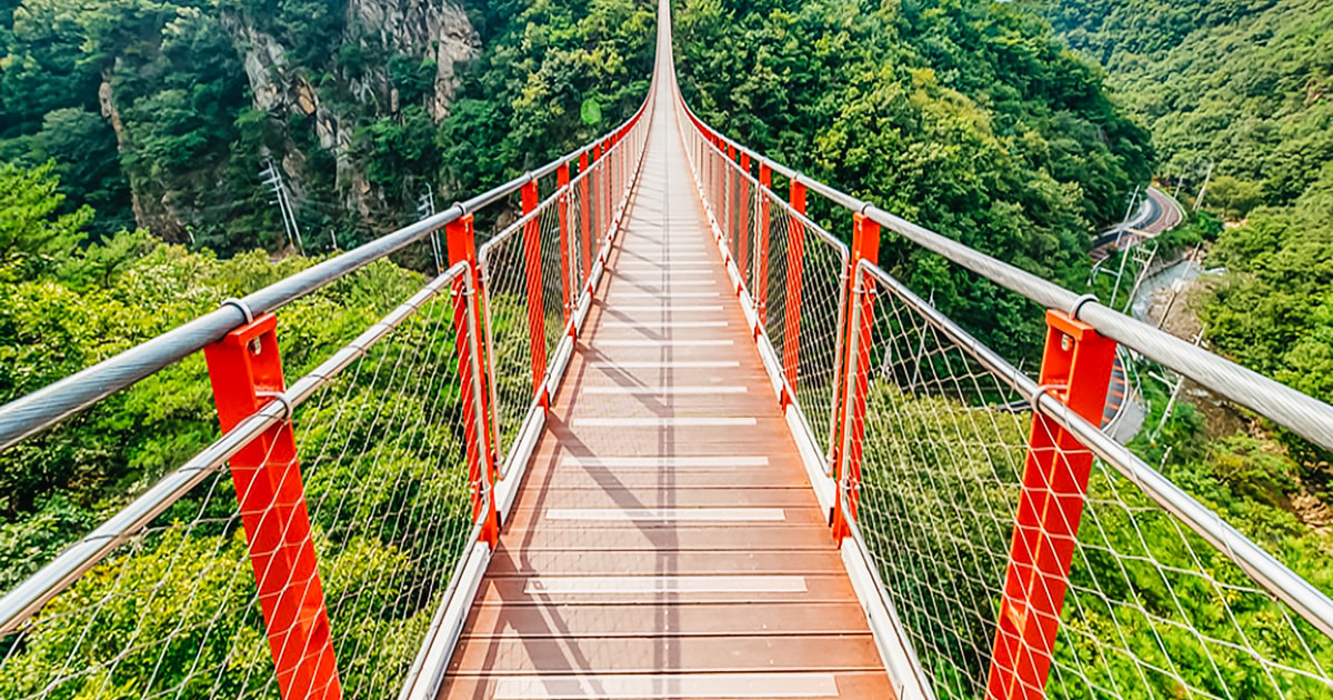 Seoul: DMZ, 3rd Tunnel and Optional Suspension Bridge Tour | GetYourGuide