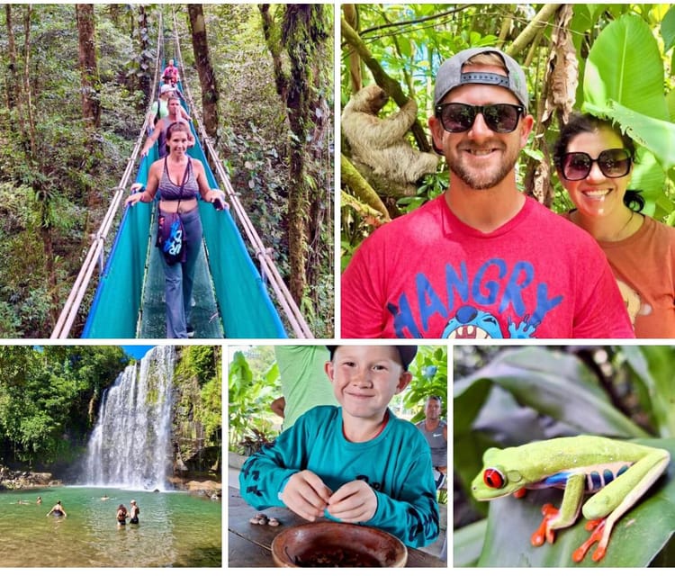 Liberia: Sloths, Rainforest, Waterfall, Nature & wildlife. | GetYourGuide