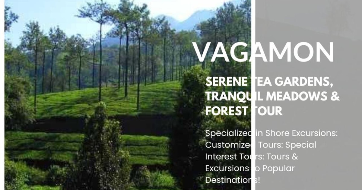 Little Munnar: Vagamon Serene Tea Gardens, Meadows,& Forests | GetYourGuide
