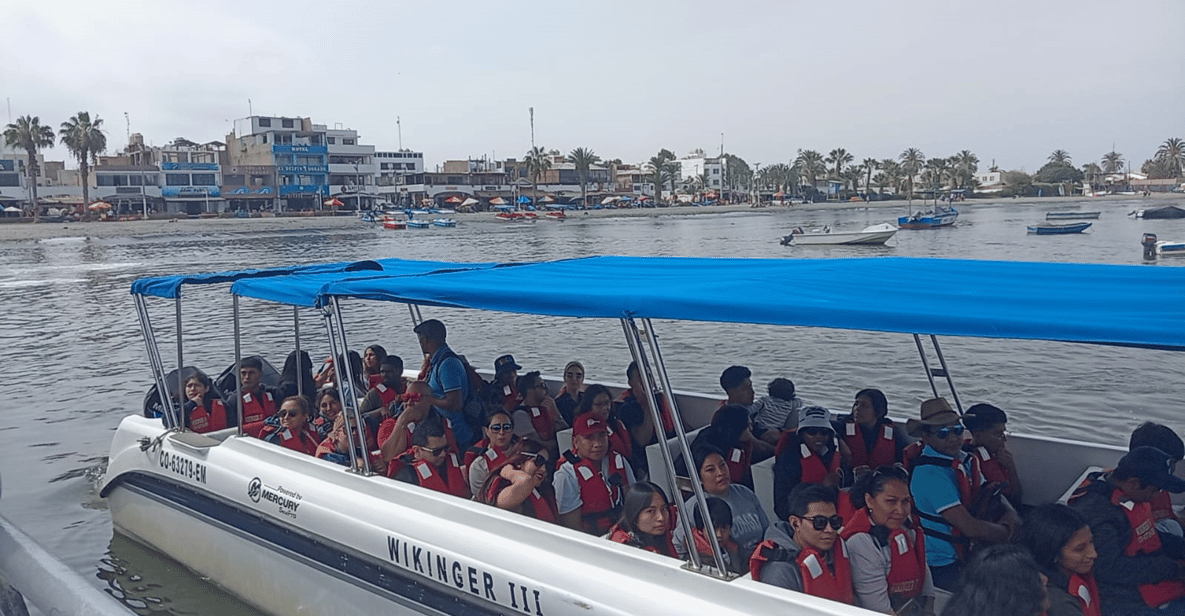 From Lima: Tour to Ballestas Islands, Huacachina Oasis | GetYourGuide