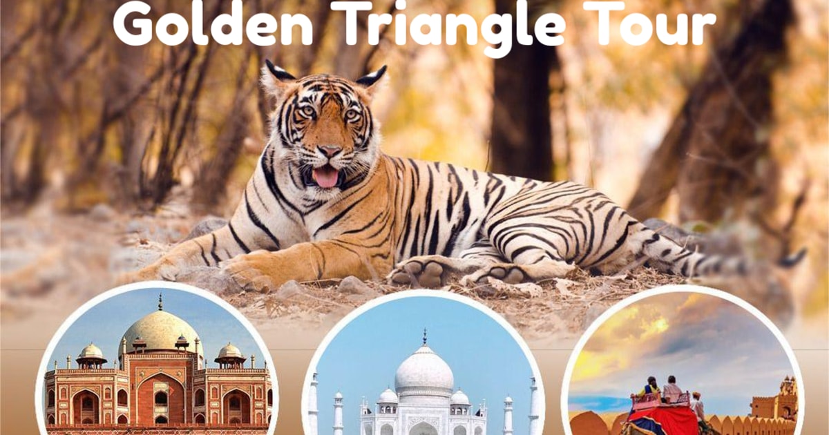 Depuis Delhi : circuit de 3 jours dans le Triangle d'Or avec safari ...