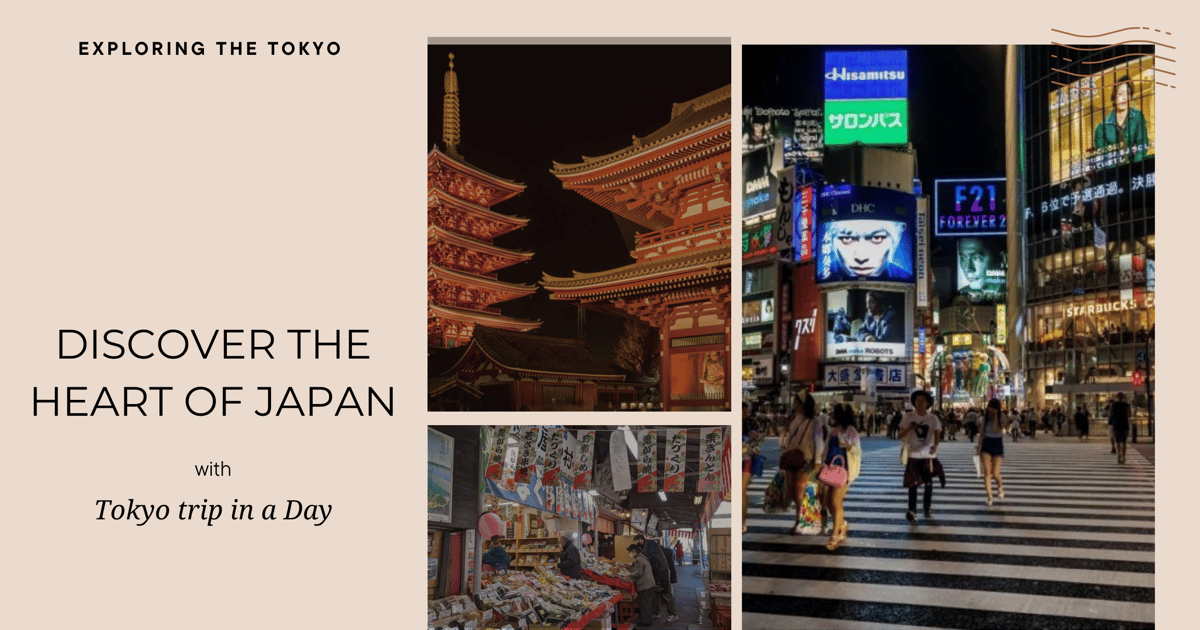 Tokyo tour de día completo privado con guía | GetYourGuide