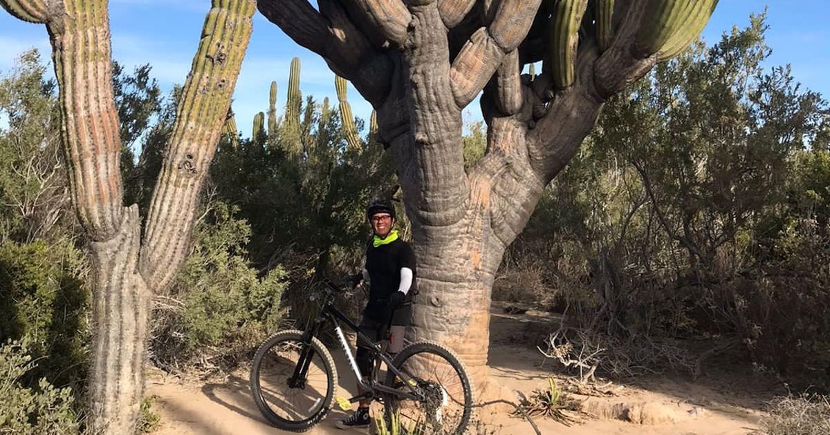 Guided Cactus Forest Bike Tour in La Ventana | GetYourGuide