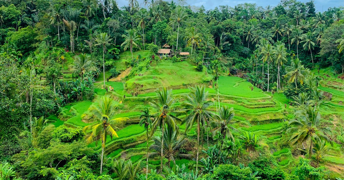Ubud: Private Full-Day Tour with Transfer and Entry Fees | GetYourGuide