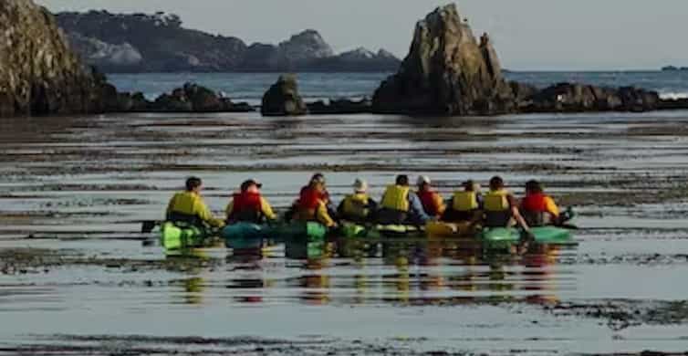 Monterey: Pebble Beach Kayak Tour | GetYourGuide