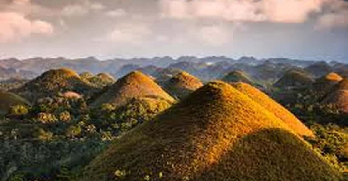 Bohol: Chocolate Hills, Tarsier en Loboc River Tour | GetYourGuide