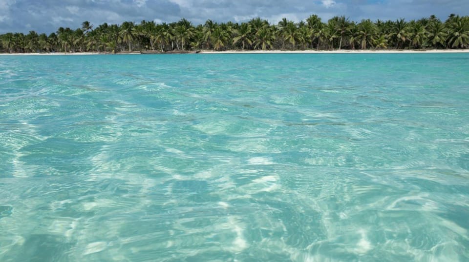 Punta Cana: Saona Island All-Inclusive Day Trip | GetYourGuide