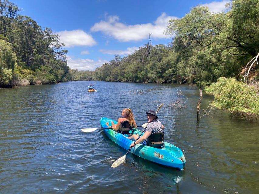 Margaret River: Guided Kayaking & Winery Tour with Lunch | GetYourGuide