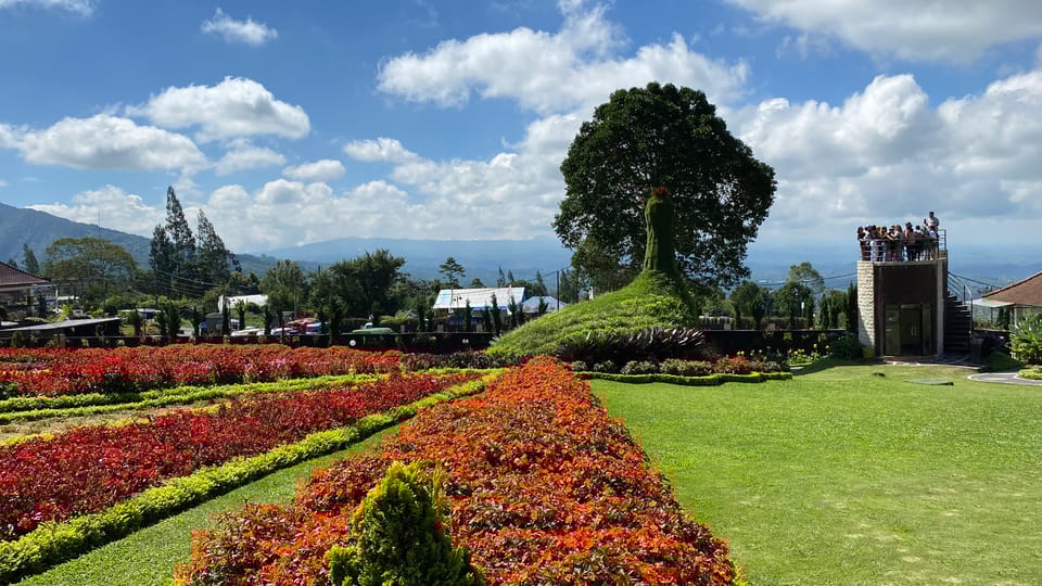 Bloom Garden Tour | GetYourGuide