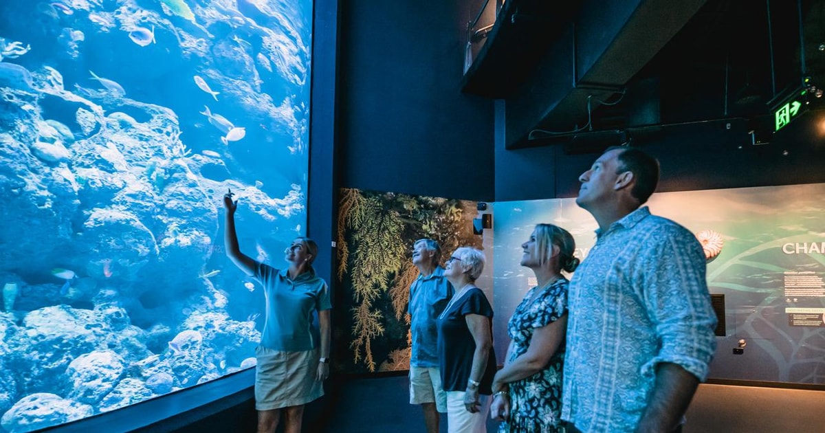 Cairns: Visita guiada nocturna al acuario y cena de 2 platos | GetYourGuide