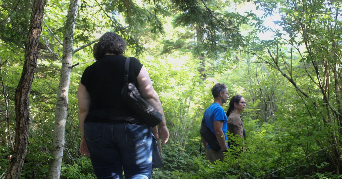 Juneau: Mindfulness in the Wilderness | GetYourGuide