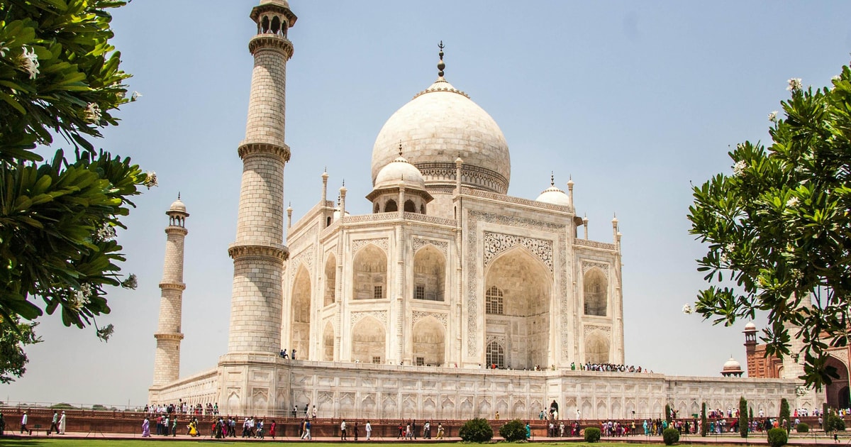 Elephant & Bear Wildlife SOS Rescue & Taj Mahal Tour | GetYourGuide