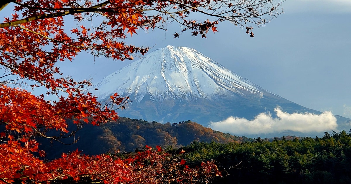 Tour del Monte Fuji e di Hakone in treno proiettile andata e ritorno con targhetta numerica ...