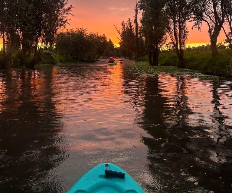 Amanecer en Xochimilco en Kayak | GetYourGuide