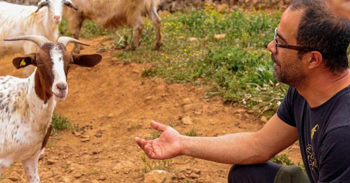 Seulo: Farm Tour with Local Product Tasting | GetYourGuide