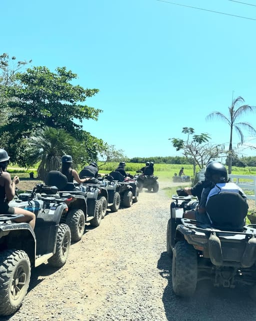 Puerto Rico: Hacienda Campo Rico ATV Experience with Pickup | GetYourGuide