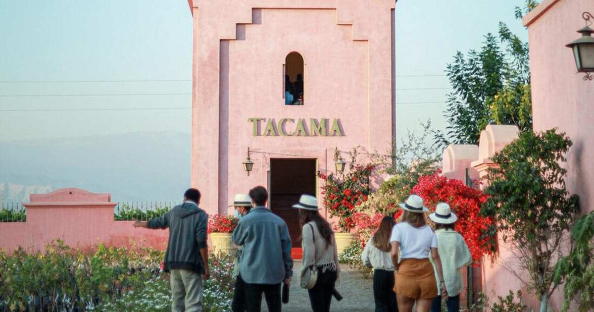 Desde Lima: Tour de día completo Ica, Viñedos de Tacama Todo Incluido | GetYourGuide