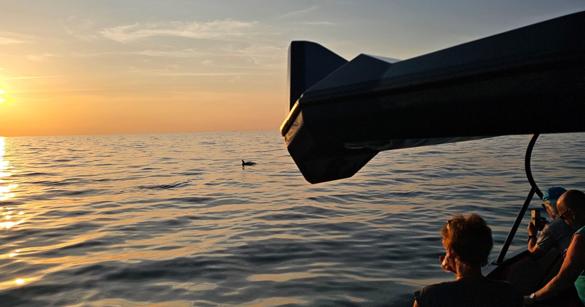 Poreč Private Sunset Dolphin Cruise on Yacht | GetYourGuide