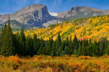 Half-Day RMNP Lakes and Meadows Tour-RMNPhotographer | GetYourGuide