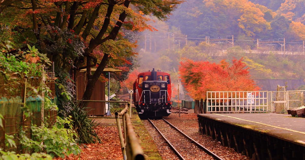 Kyoto: Sagano Train Ride and Guided Day Tour | GetYourGuide