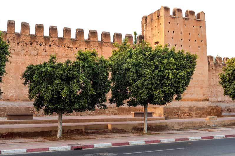 Taroudant and Tiout Oasis Trip With Lunch | GetYourGuide