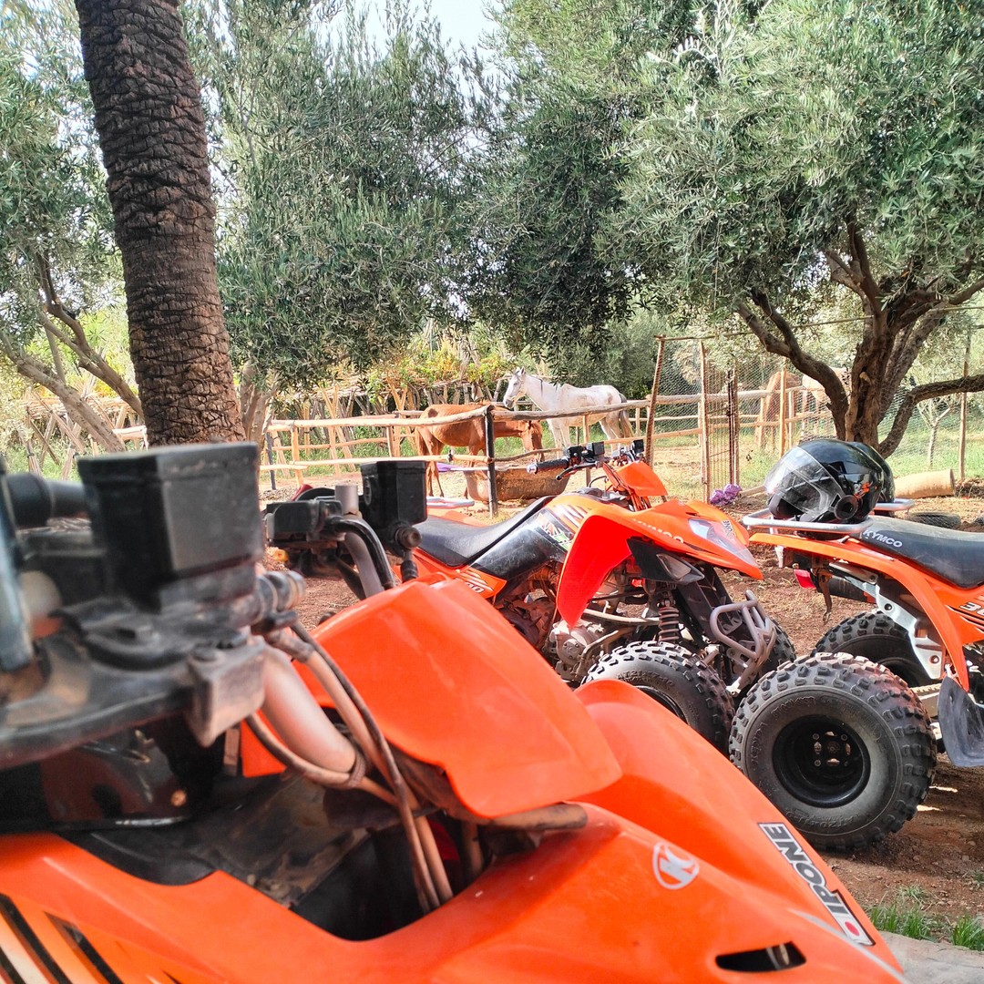 Cooking class with 2h of quad | GetYourGuide