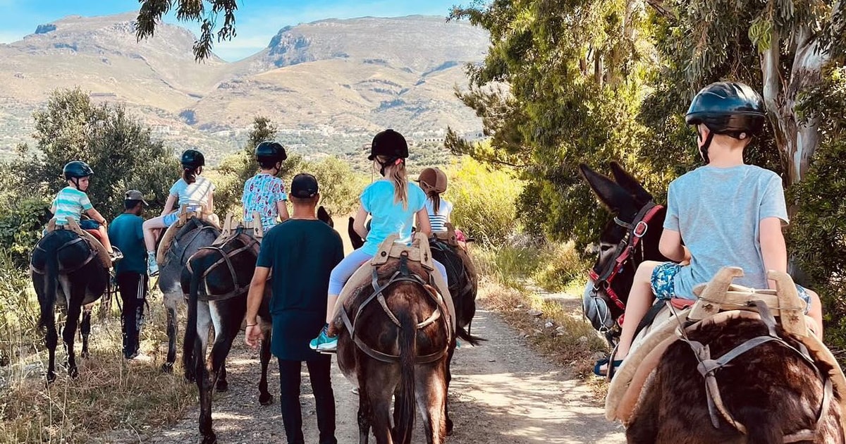 Esel reiten - Kretisches Land | GetYourGuide