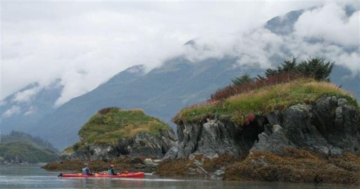 Valdez: Wycieczka kajakiem morskim po Duck Flats | GetYourGuide