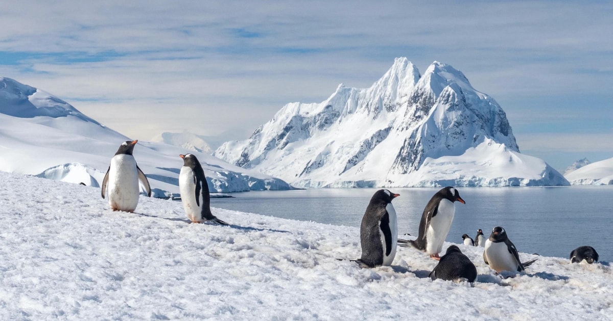 Ushuaia: 13-Day Antarctica Classic in Depth Expedition | GetYourGuide