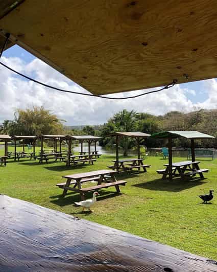 North Shore's best day! River, Turtles, Farm with Lunch | GetYourGuide