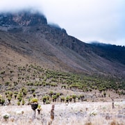 5 Days Mt Kenya Climb Sirimon Down Narumoru Route | GetYourGuide