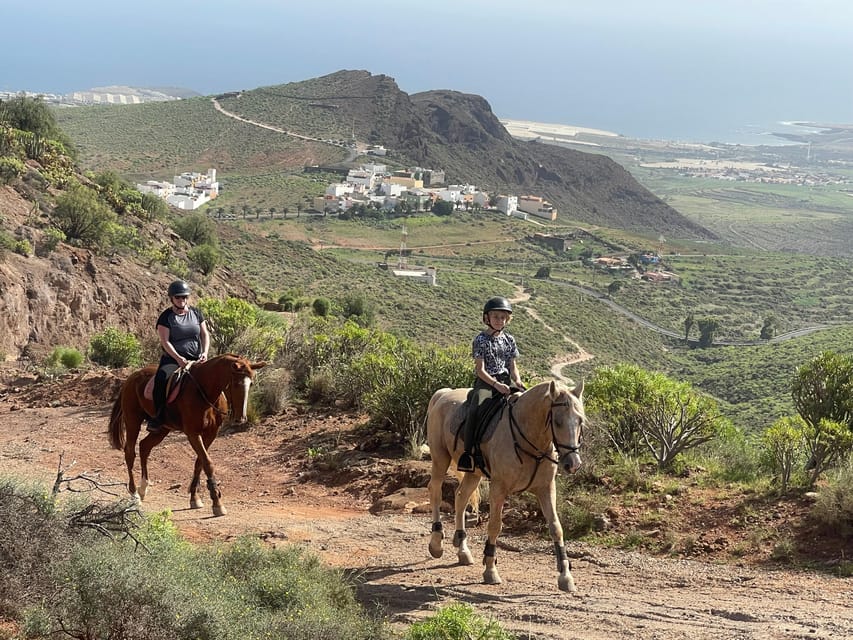 Mountain Panoramic tour of 2 hours | GetYourGuide