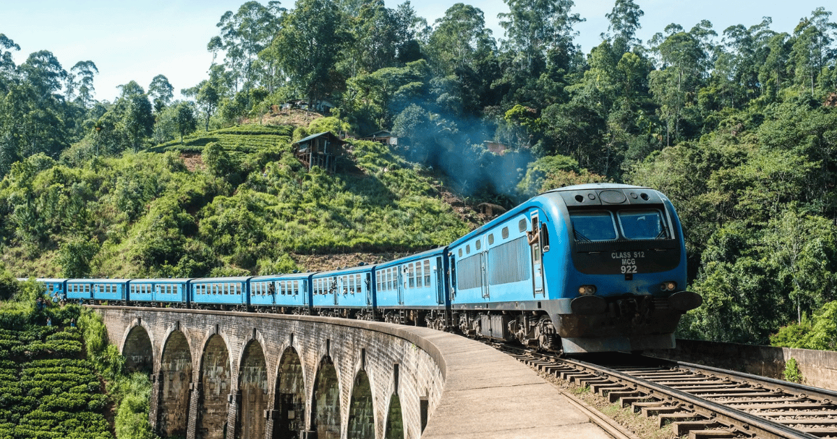 Ella: Day Tour ($75 Per Group up to 3 Persons) | GetYourGuide