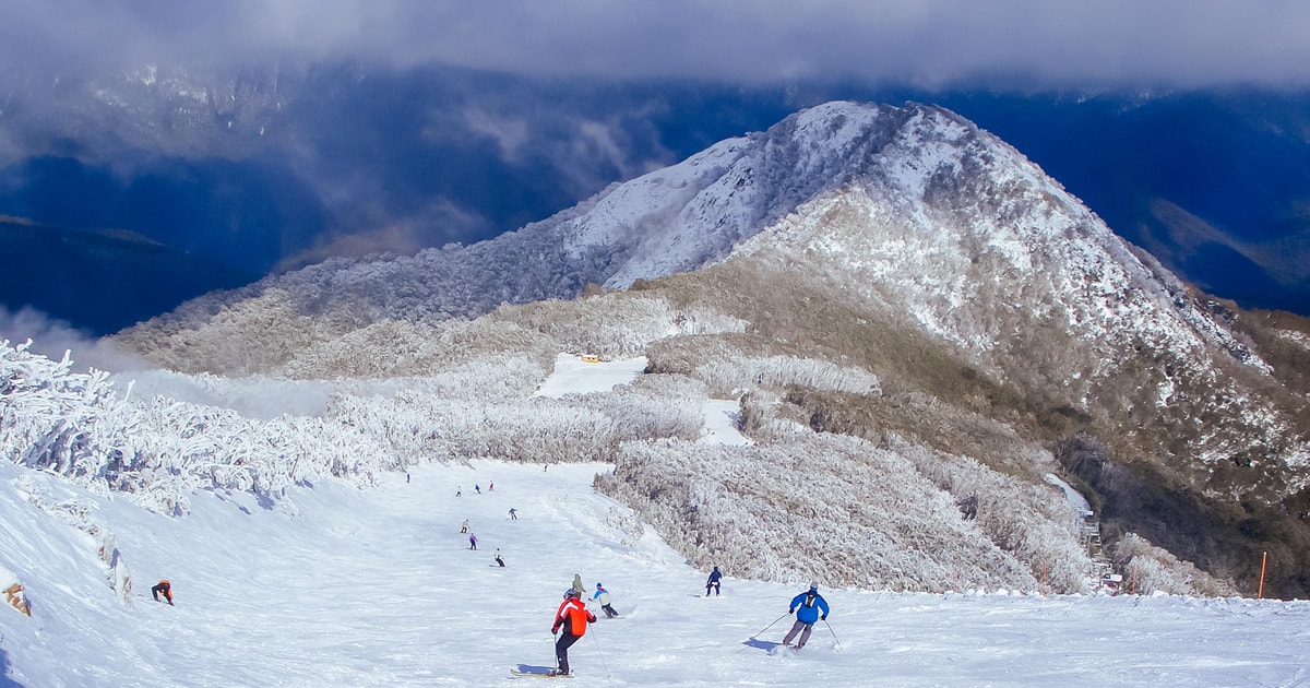 Von Melbourne aus: Mt Buller Scenic Snow Getaway Day Tour | GetYourGuide