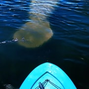 Merrito sala: Merriterio Merilita Merilita: Ekologinis turas baidarėmis ...