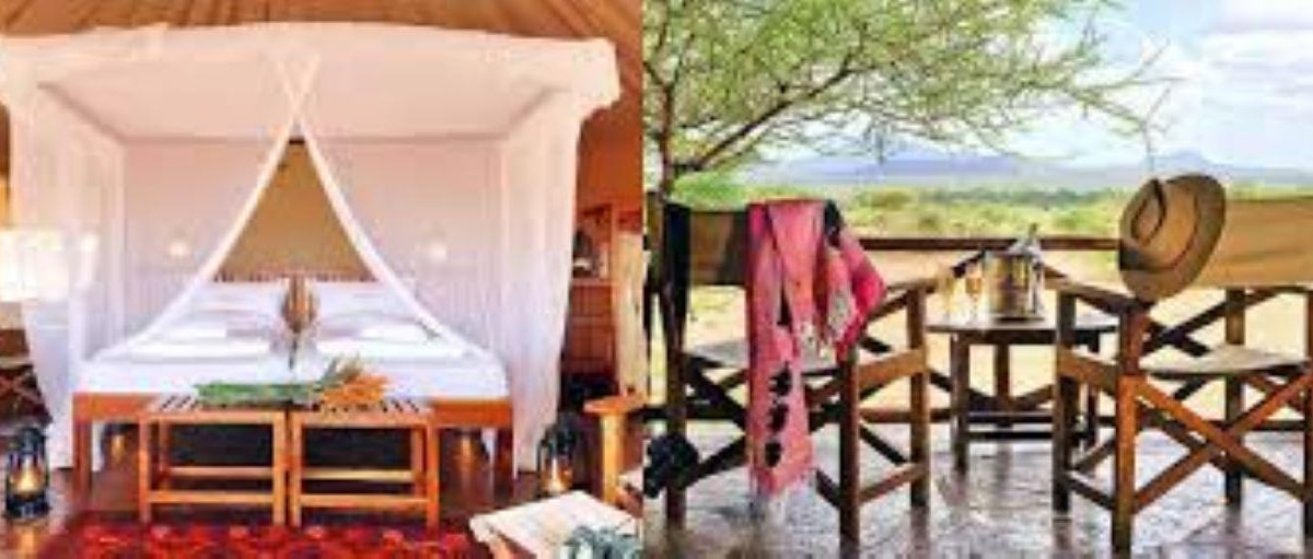 Overnight Private Safari to Severin Camp from Mombasa | GetYourGuide